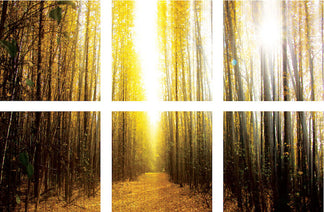 Autumn Trees Wall Decal Panel Leaves Decor Fall Wall Decorations View ...